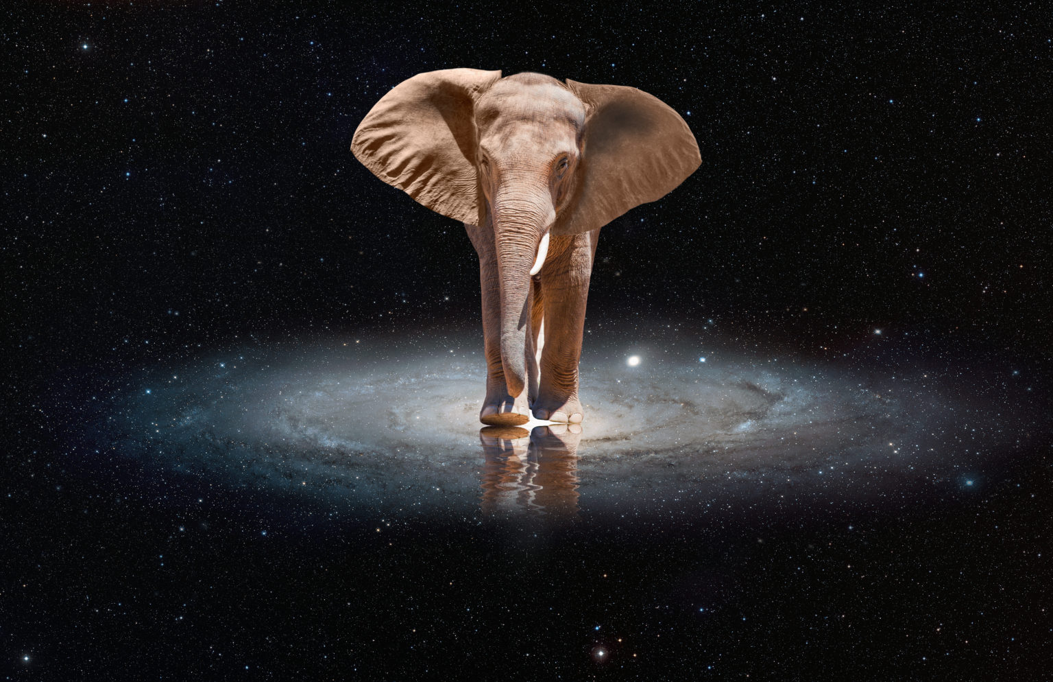 When Elephants Fight in Space - Aerospace Security